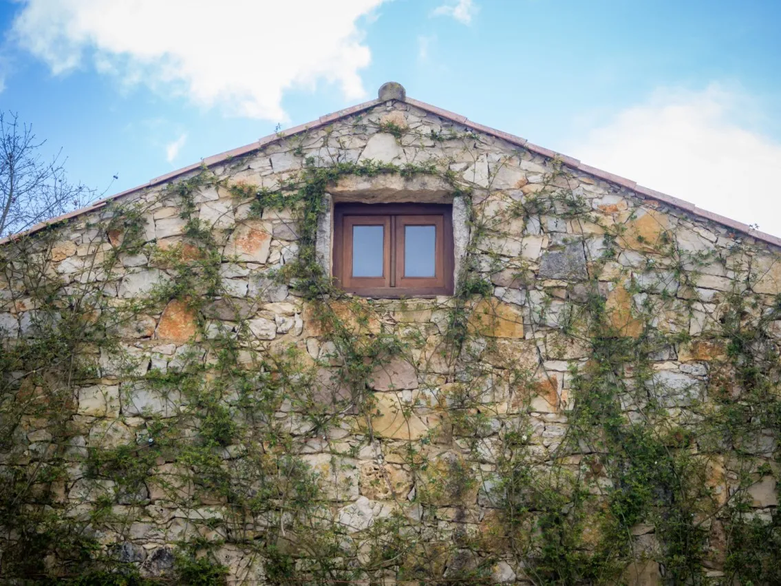Building A Sandstone House